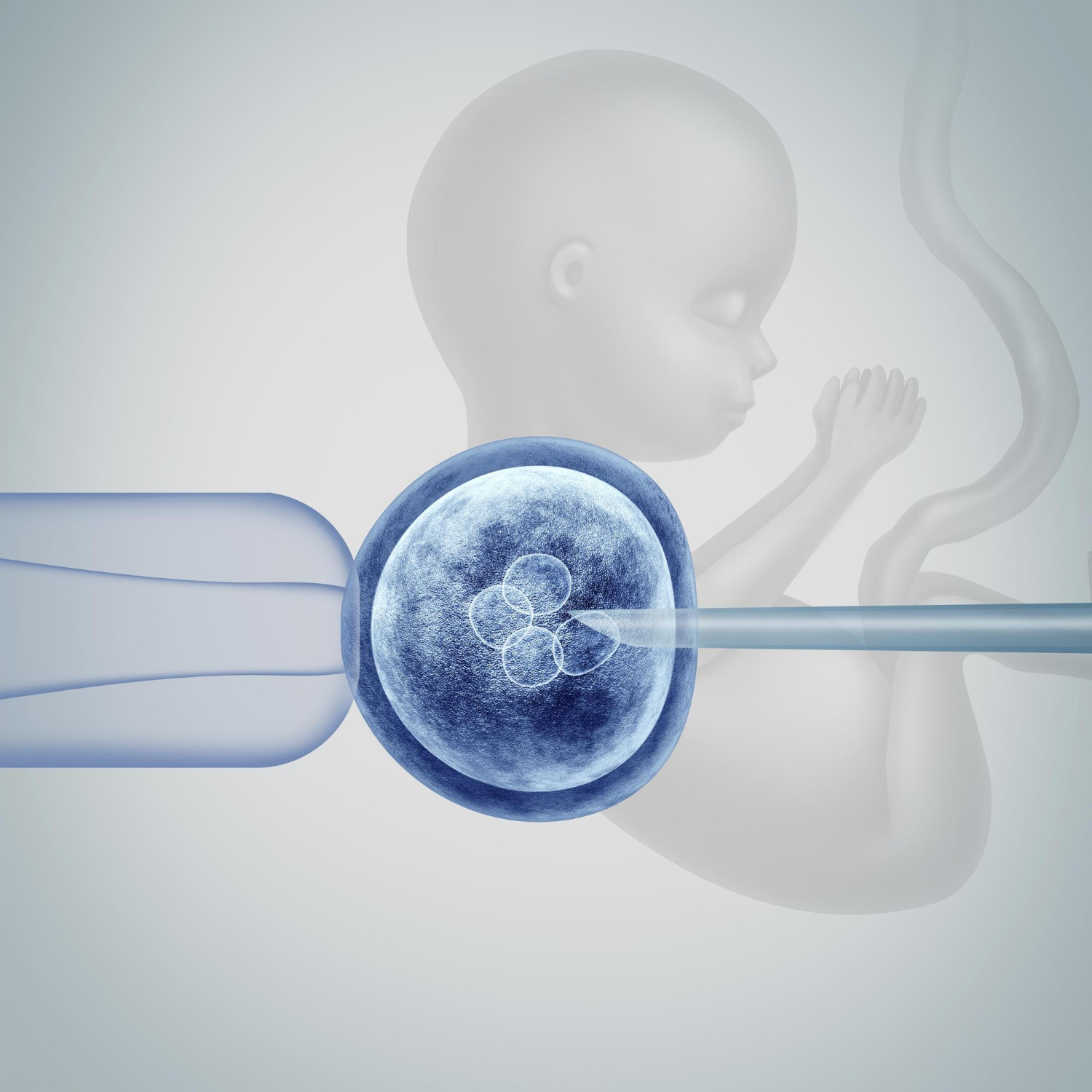 FSH in Pregnancy & IVF: Meaning, Normal Levels & Key Facts