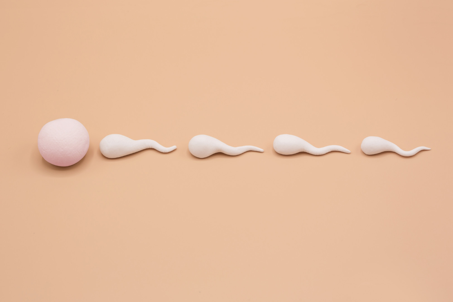 Follicle Size and Fertility: Impact on IVF and IUI Success